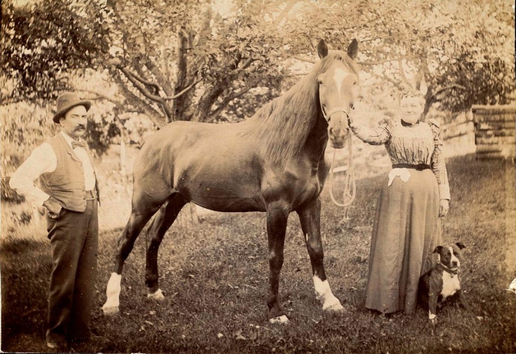 Town Founders - Beaman Memorial Public Library