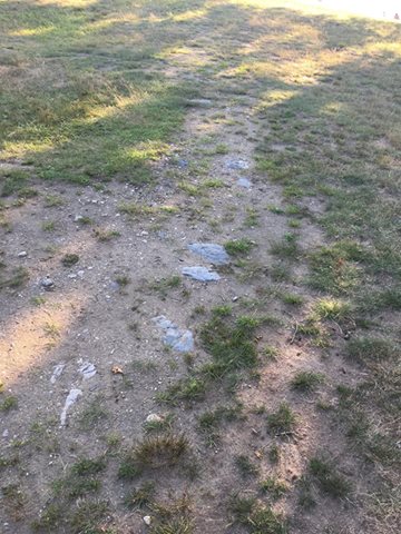 Saint Anthony's (1900's) - Beaman Memorial Public Library